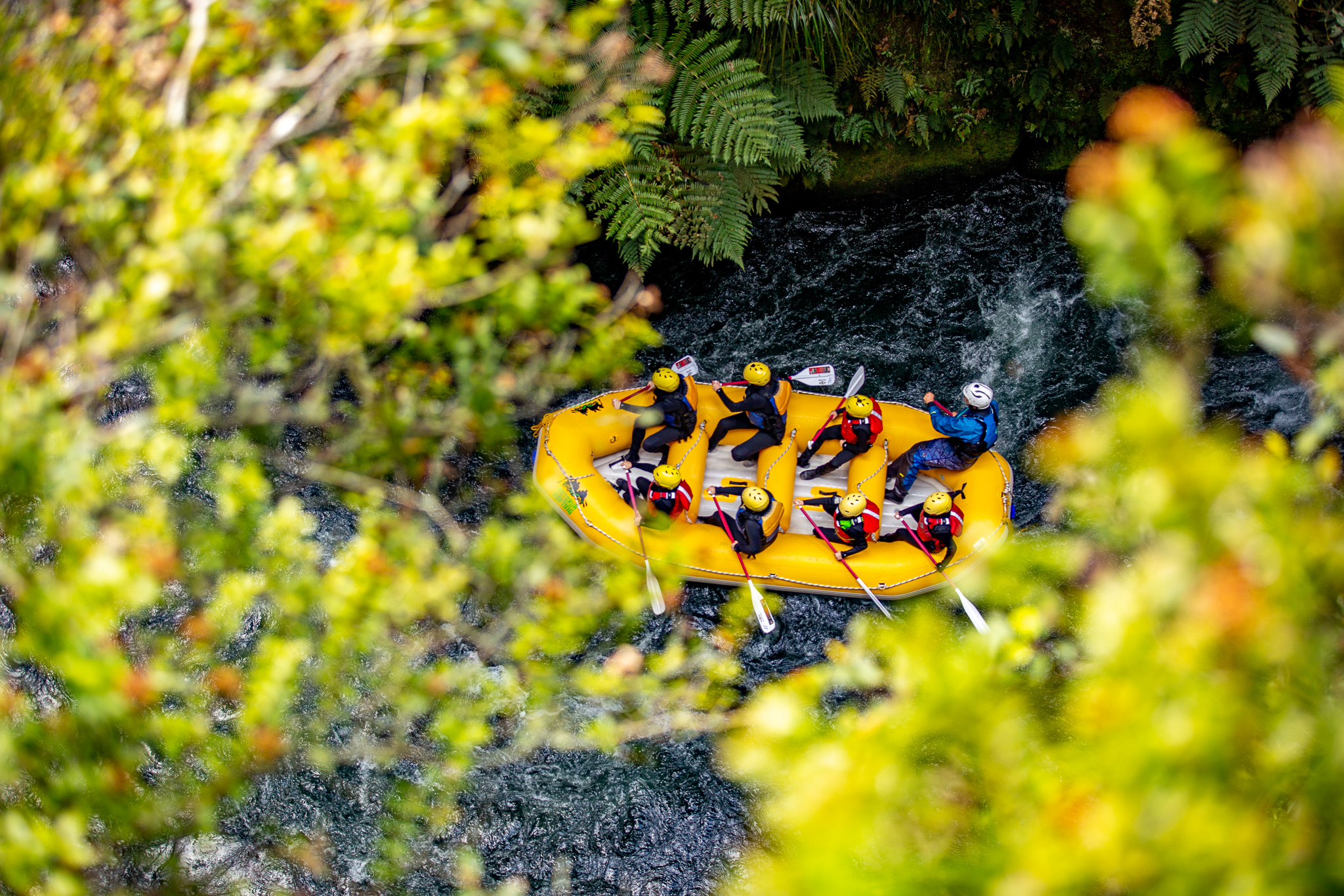Discover the Fascinating History of the Kaituna River